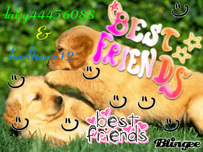 GIF best friend - animated GIF on GIFER