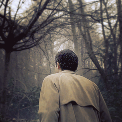 GIF spam - animated GIF on GIFER