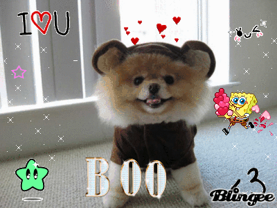 Boo GIF - Find on GIFER