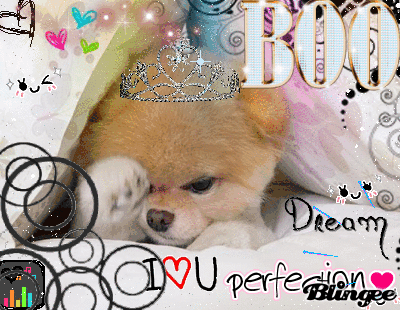 Boo GIF - Find on GIFER