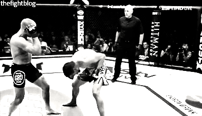 GIF ufc mma - animated GIF on GIFER