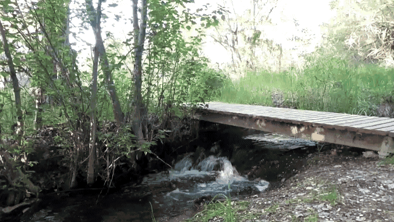 House stream GIF - Find on GIFER
