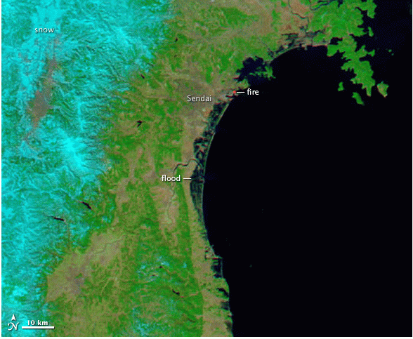 GIF japan tsunami - animated GIF on GIFER