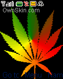 GIF rasta - animated GIF on GIFER