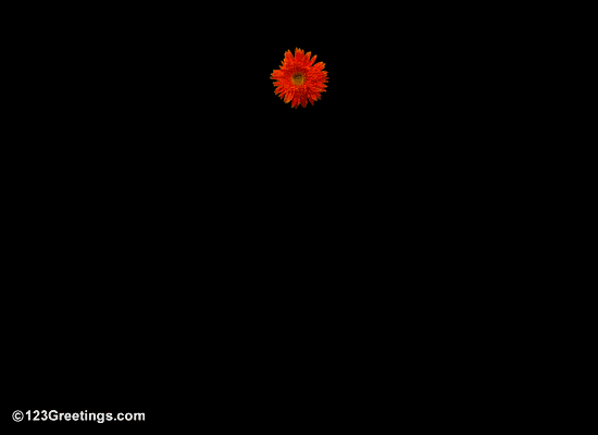 Close GIF - Find on GIFER