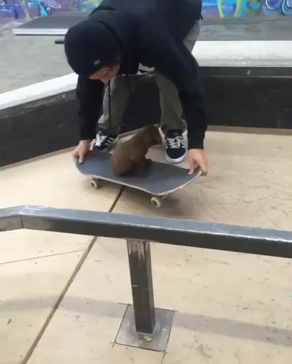 Grind GIF - Find on GIFER