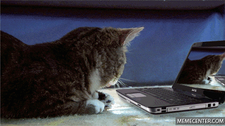 While GIF - Find on GIFER