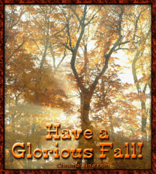 Fall GIF - Find on GIFER