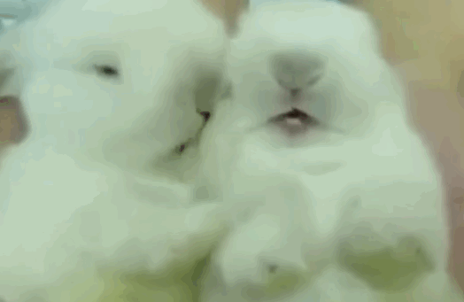 Contagious love GIF - Find on GIFER