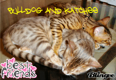 Retrofiend GIF - Find on GIFER