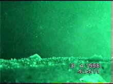 GIF glass - animated GIF on GIFER