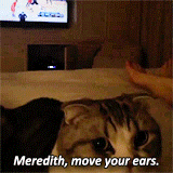 The weeknd xo GIF - Buscar en GIFER