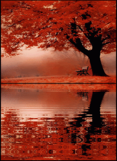 Fall GIF - Find on GIFER