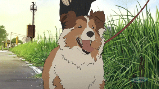 Ginga nagareboshi gin GIF - Find on GIFER