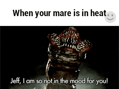 In heat GIF - Find on GIFER