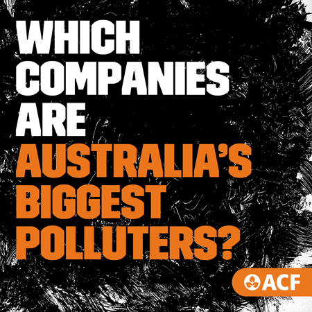 Top 10 GIF - Find on GIFER