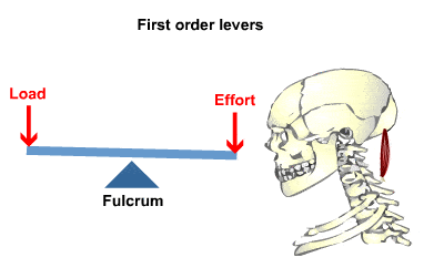 Pe GIF - Find on GIFER