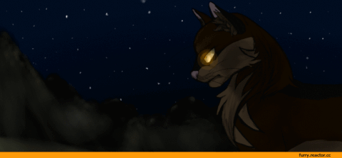Furry GIF - Find on GIFER