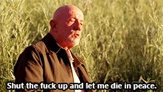 Breaking Bad Quotes Mike Ehrmantraut Animated On Er