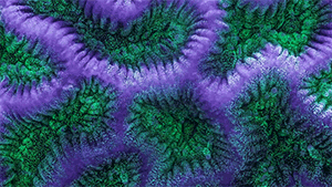 Microscope life science GIF - Find on GIFER