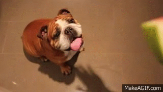 Lonesome GIF - Find on GIFER