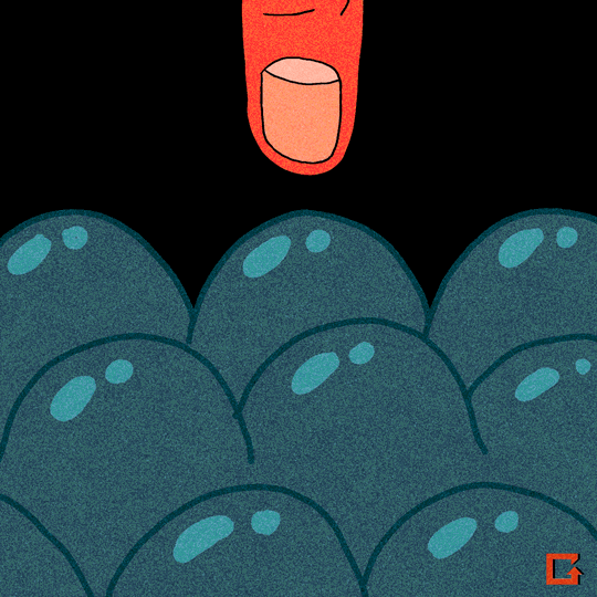 Bubble wrap gifnews GIF - Find on GIFER