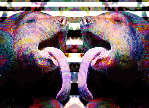 Call of duty cod black ops 3 GIF on GIFER - by Shalsa