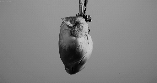 GIF heart beats - animated GIF on GIFER