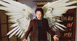GIF pleading kevr117 high quality - animated GIF on GIFER