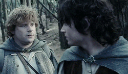 Frodo GIF - Find on GIFER