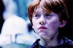 Ron weasley GIF - Find on GIFER