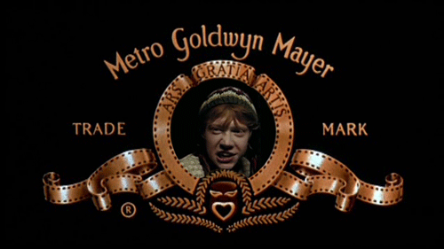 Movies mgm GIF - Find on GIFER