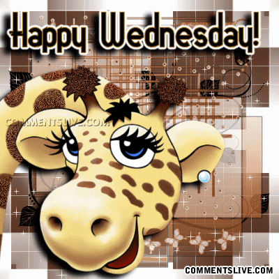 Wednesday GIF - Find on GIFER