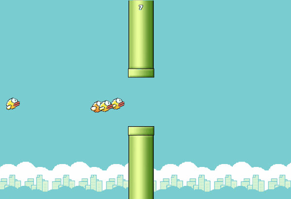 GIF bird - animated GIF on GIFER