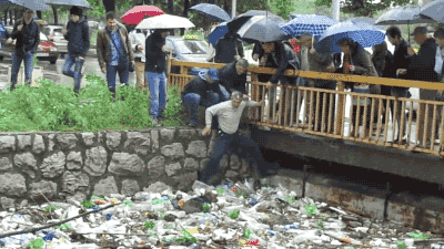 Dog rescue GIF - Find on GIFER