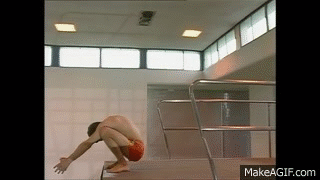 Dive GIF - Find on GIFER