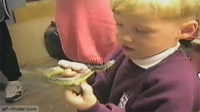 GIF bites - animated GIF on GIFER
