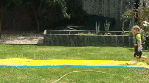 Boy slide GIF - Find on GIFER