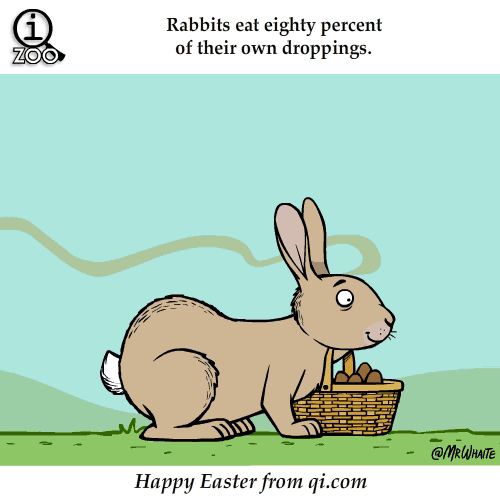 GIF fun images facts - animated GIF on GIFER