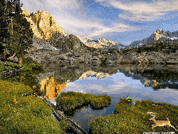 Country GIF - Find on GIFER