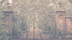 Beautiful creatures GIF - Find on GIFER