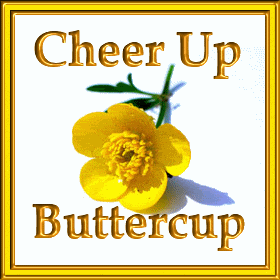 Up GIF - Find on GIFER