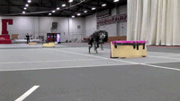 GIF science tech robot - animated GIF on GIFER
