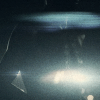 Mfs GIF - Find on GIFER