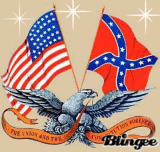 Rebel flag pictures rebel GIF - Find on GIFER