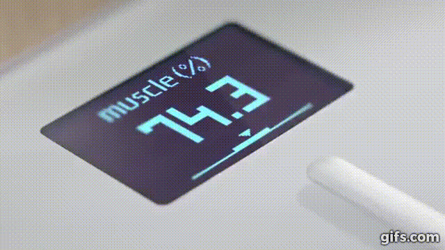 Scale GIF - Find on GIFER