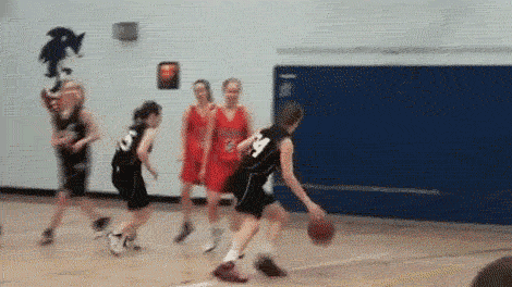 Wnba GIF - Find on GIFER