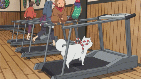 Exercise GIF - Find on GIFER