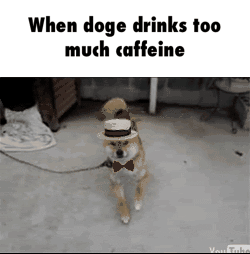 Caffeine GIF - Find on GIFER