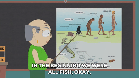 Teaching evolution teacher GIF - Find on GIFER